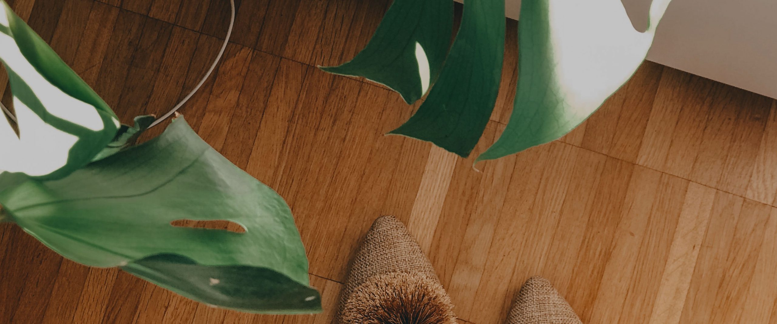 Coming Soon - Amzi Group